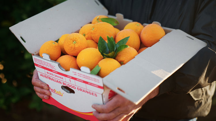 Redbelly Citrus – redbelly citrus