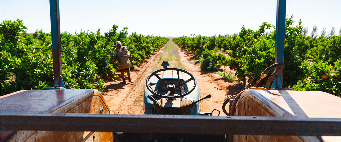 redbelly citrus - our story